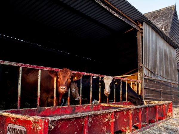 OUR STORY | C Humphreys & Sons